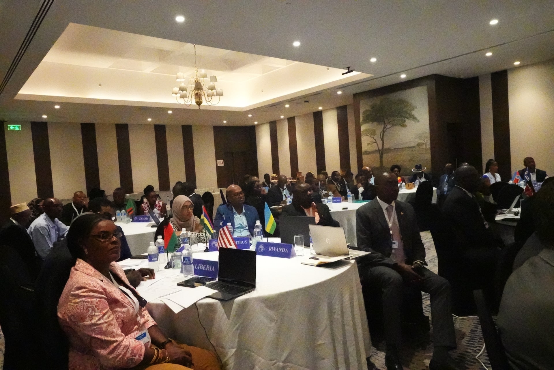 GAVA Advocates for Actors’ Rights at WIPO-ARIPO Regional Seminar in ...